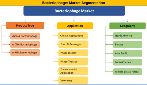 Bacteriophage Market Size, Share, Trend, Growth And Forecast To 2026