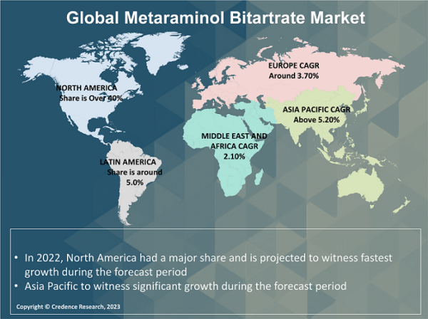 Metaraminol Bitartrate Market By Share, Size and Growth 2030