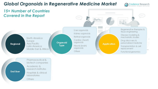 Organoids in Regenerative Medicine Market Size, Share and Forecast 2032